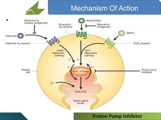Proton pump inhibitor | PPT