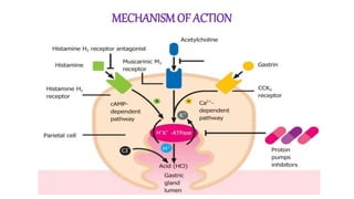 protonpumpinhibitor-221111095545-b7ca6980.pdf
