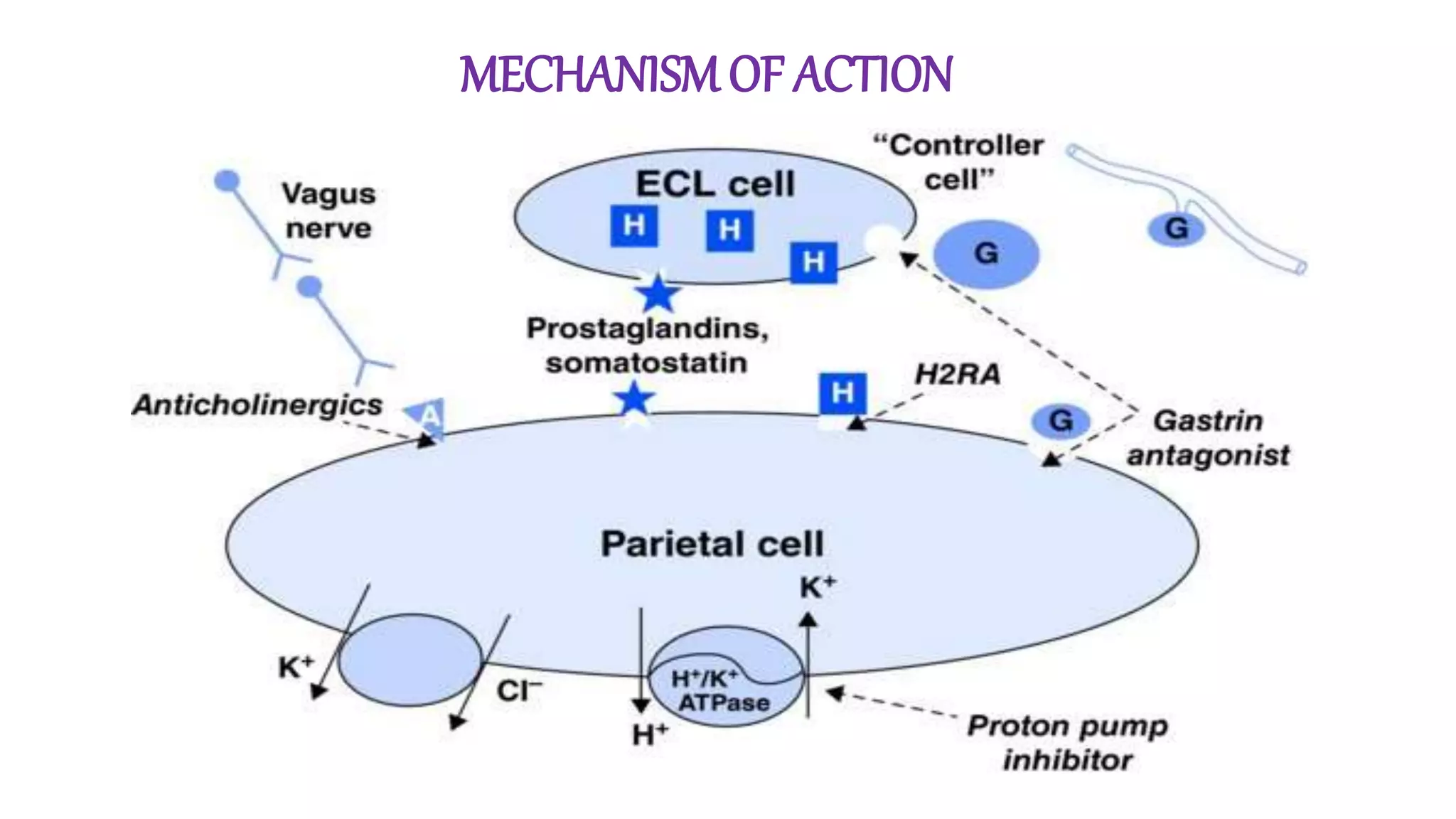 PROTON PUMP INHIBITOR.ppt