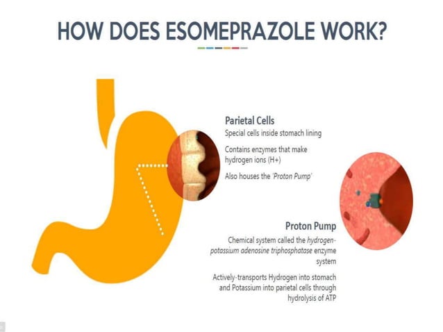 Proton Pump Inhibitor (PPI) | PPTX | Digestive Disorders | Diseases and ...