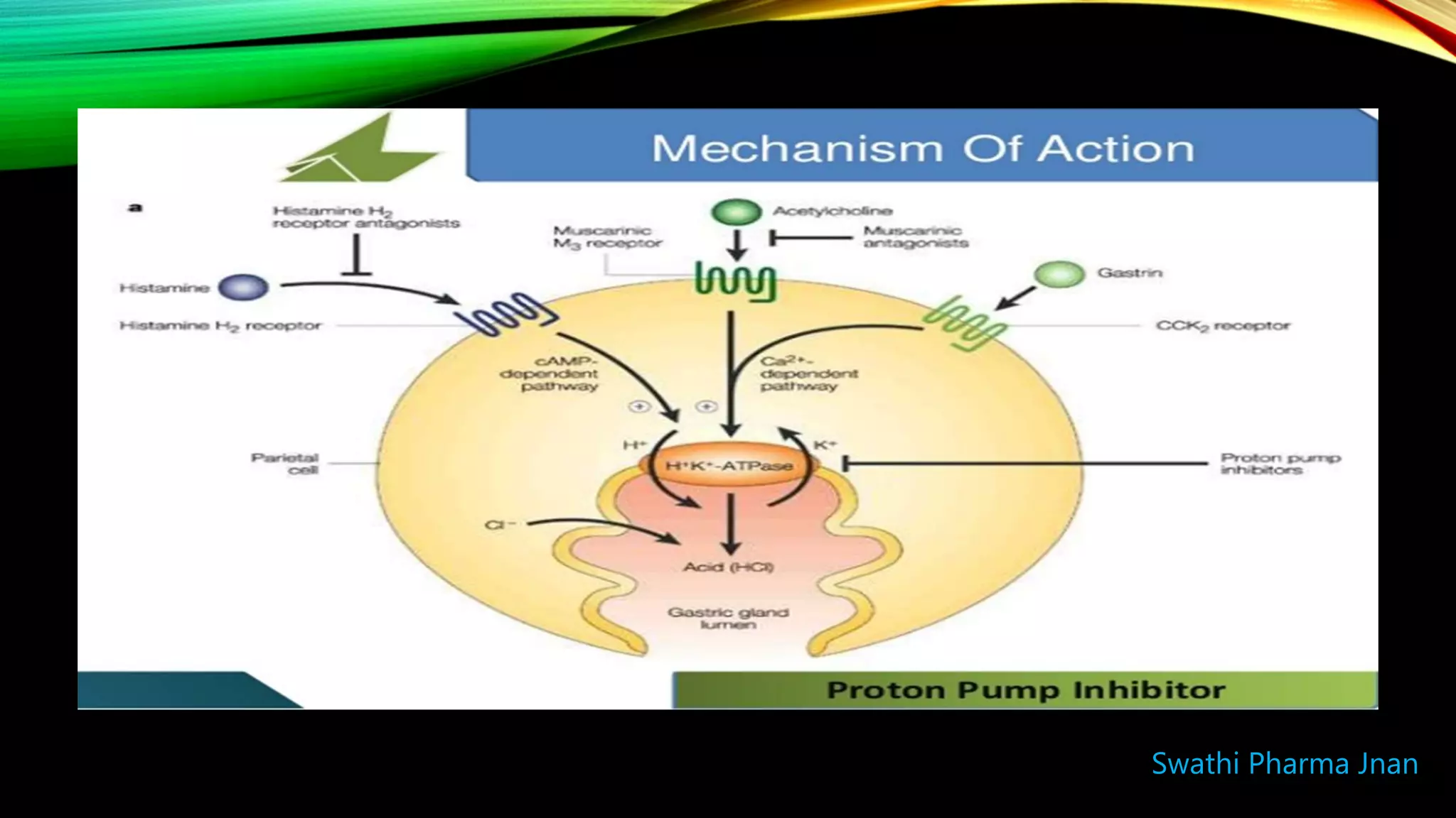 Gastric Proton pump inhibitors | PPTX