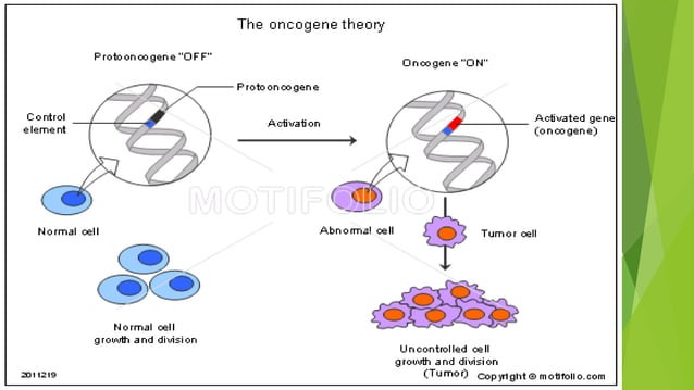 Proto oncogene to onco gene cell signaling | PPTX