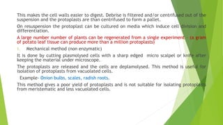 PROTOPAST ISOATION, PROTOPAST FUSION AND SOMATIC HYBRIDISATION.pptx