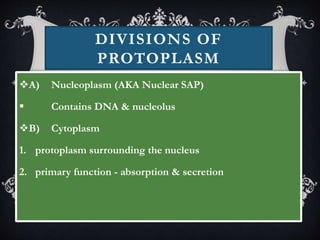 physical properties of Protoplasm | PPTX