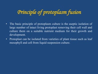 Protoplasm fusion | PPTX | Chemistry | Science