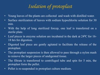 Protoplasm fusion | PPTX | Chemistry | Science