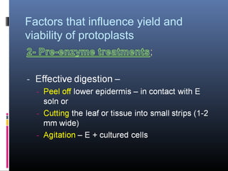 Protoplast | PPT