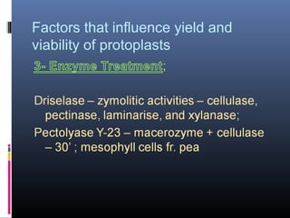 Protoplast | PPT