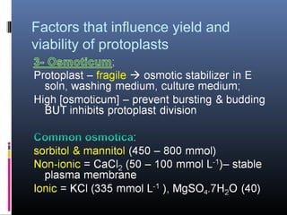 Protoplast | PPT