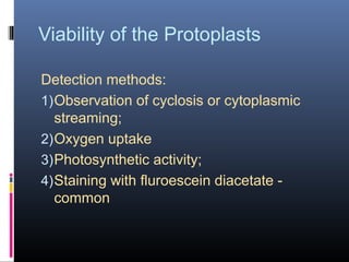 Protoplast | PPT