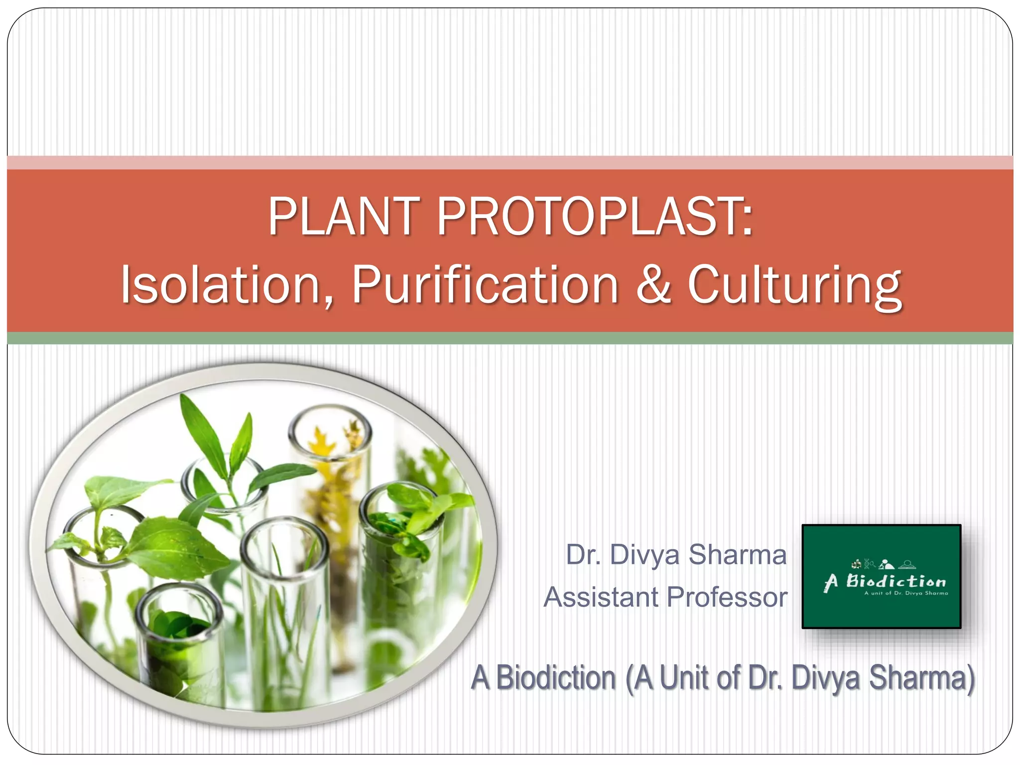 Plant Protoplast: Isolation, Purification and Culturing | PDF