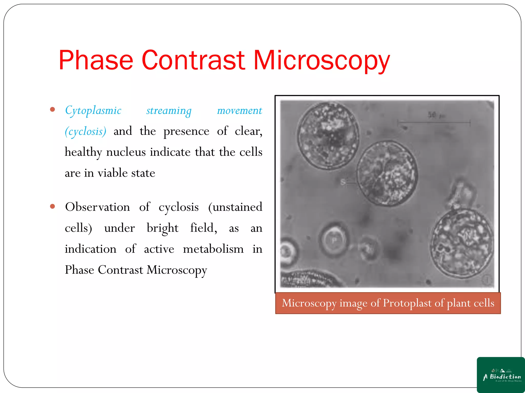 Plant Protoplast: Isolation, Purification and Culturing | PDF