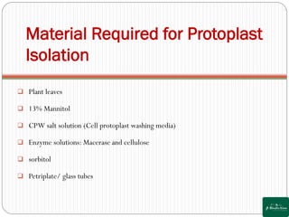 Plant Protoplast: Isolation, Purification and Culturing | PDF