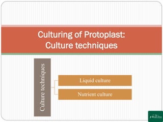 Plant Protoplast: Isolation, Purification and Culturing | PDF
