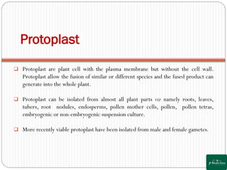 Plant Protoplast: Isolation, Purification and Culturing | PDF