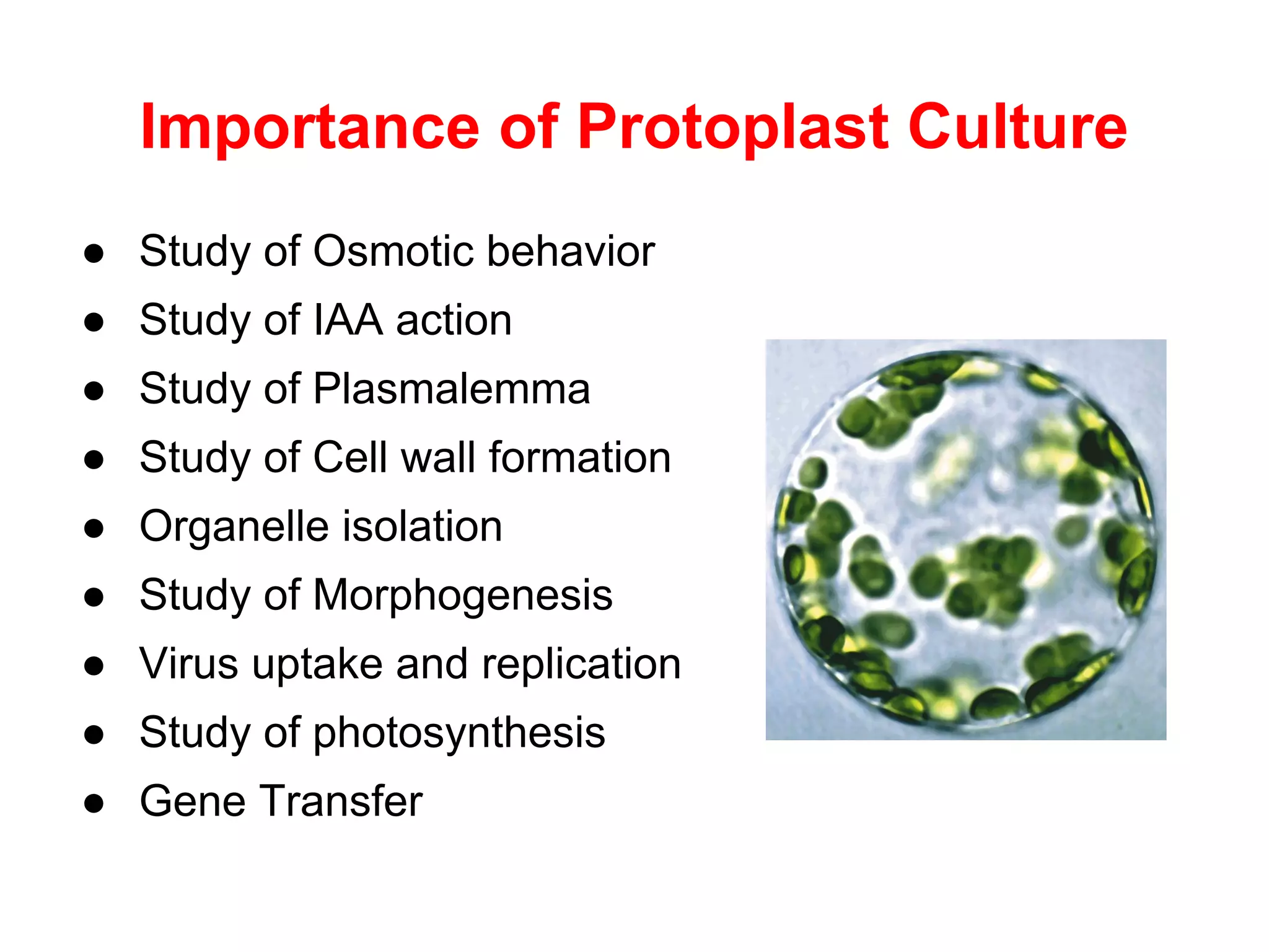 Protoplastculture 150928162517-lva1-app6891 | PDF