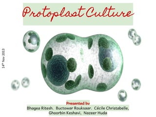 Protoplastculture 150928162517-lva1-app6891 | PDF