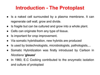 Protoplastculture 150928162517-lva1-app6891 | PDF
