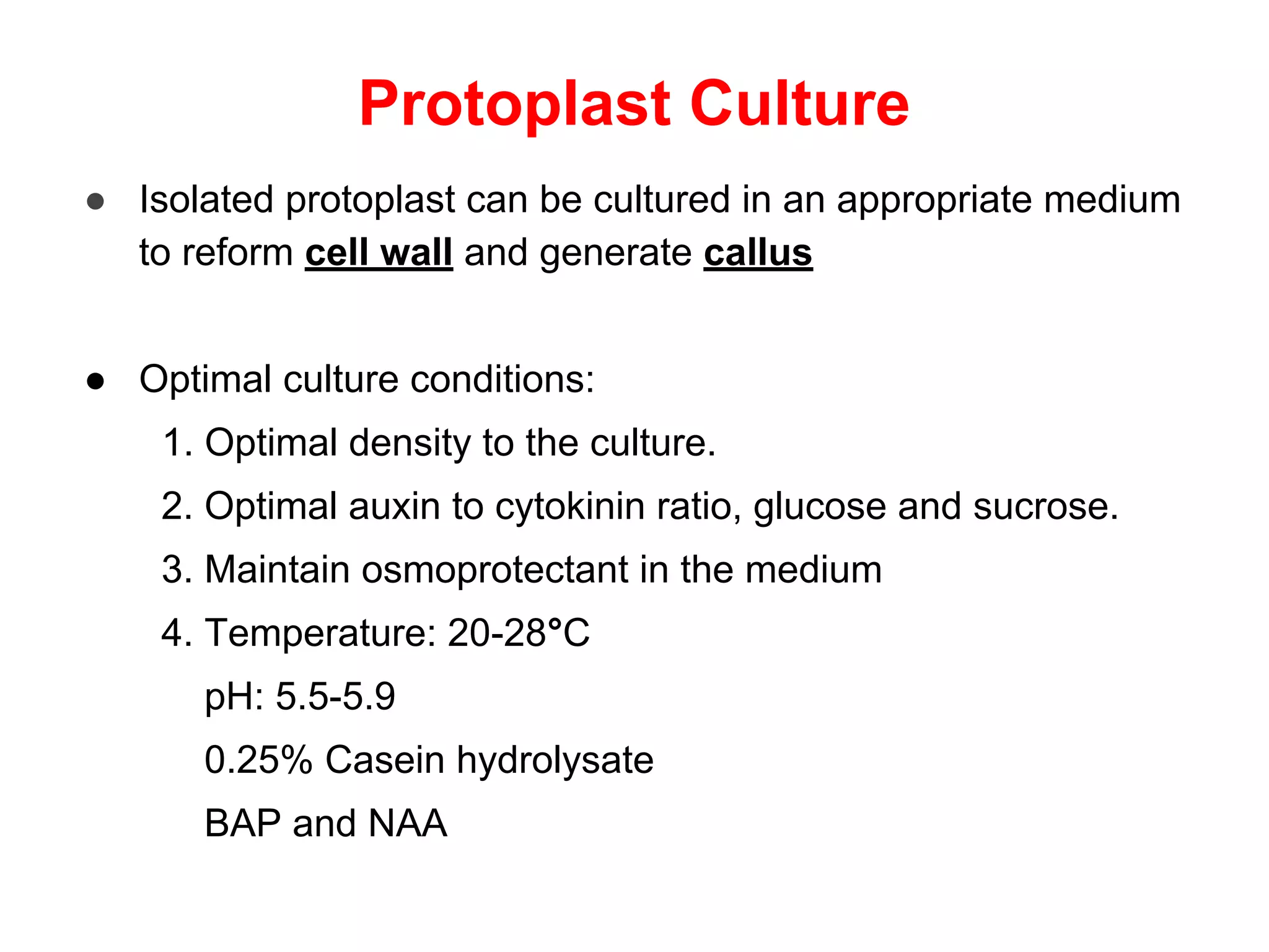 Protoplast Culture | PDF
