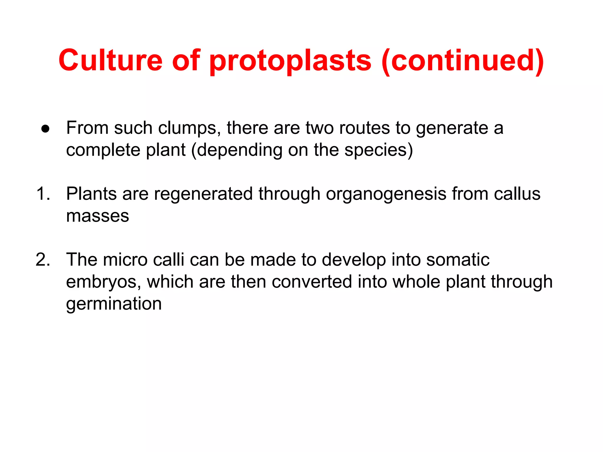 Protoplast Culture | PDF