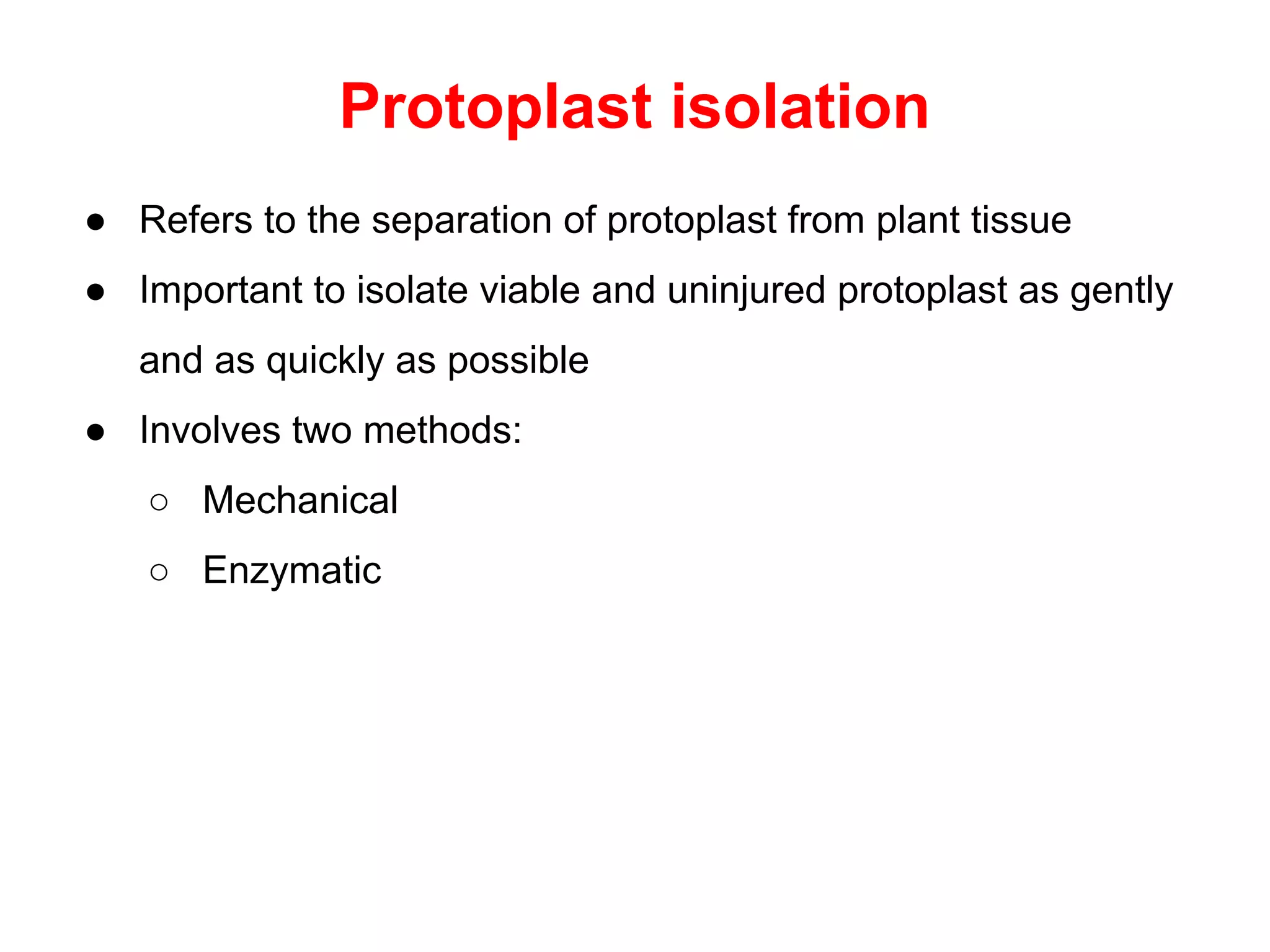 Protoplast Culture | PDF