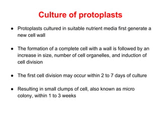 Protoplast Culture | PDF