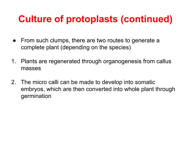 Protoplast Culture | PDF