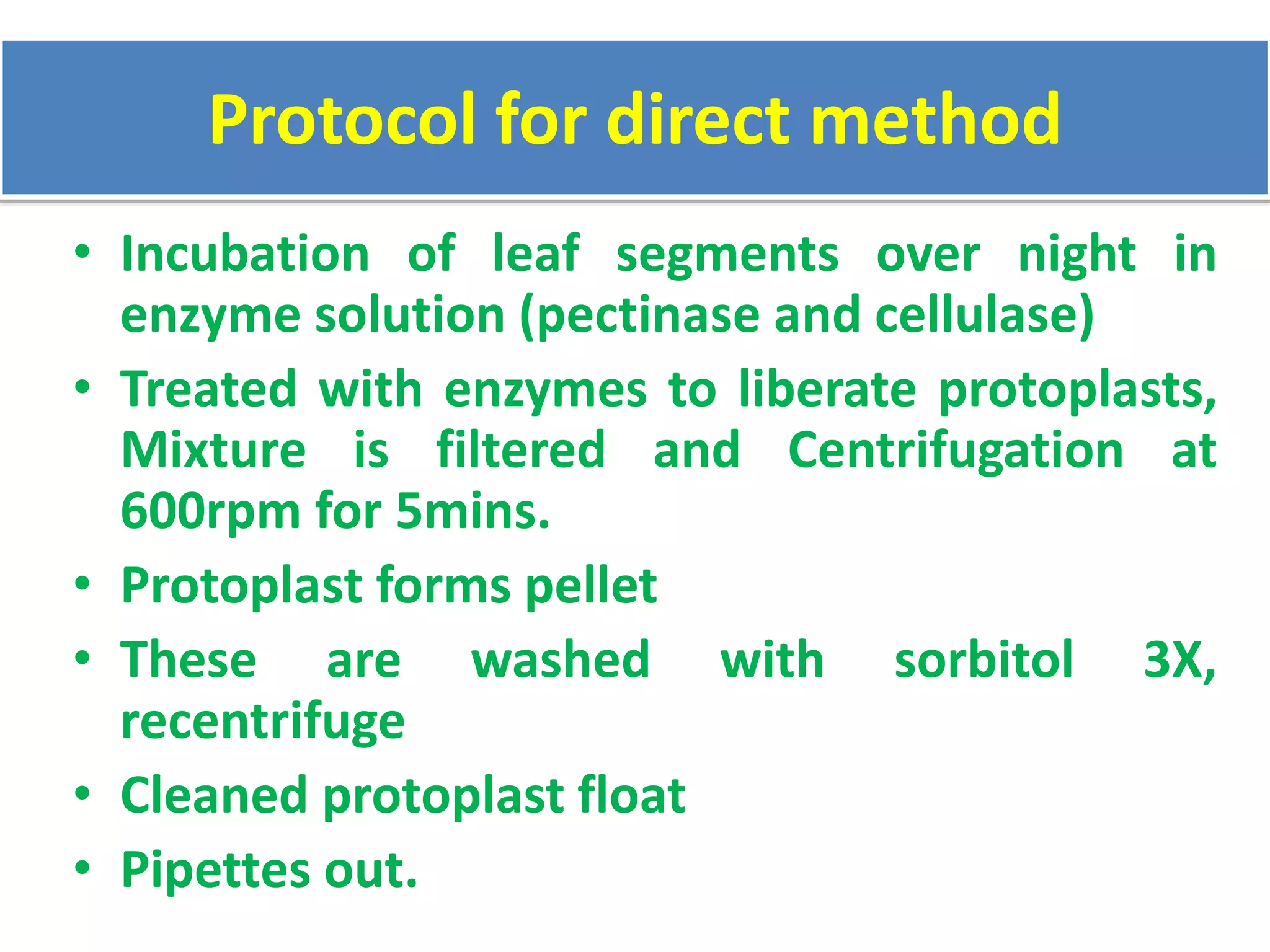 Protoplast culture | PPTX