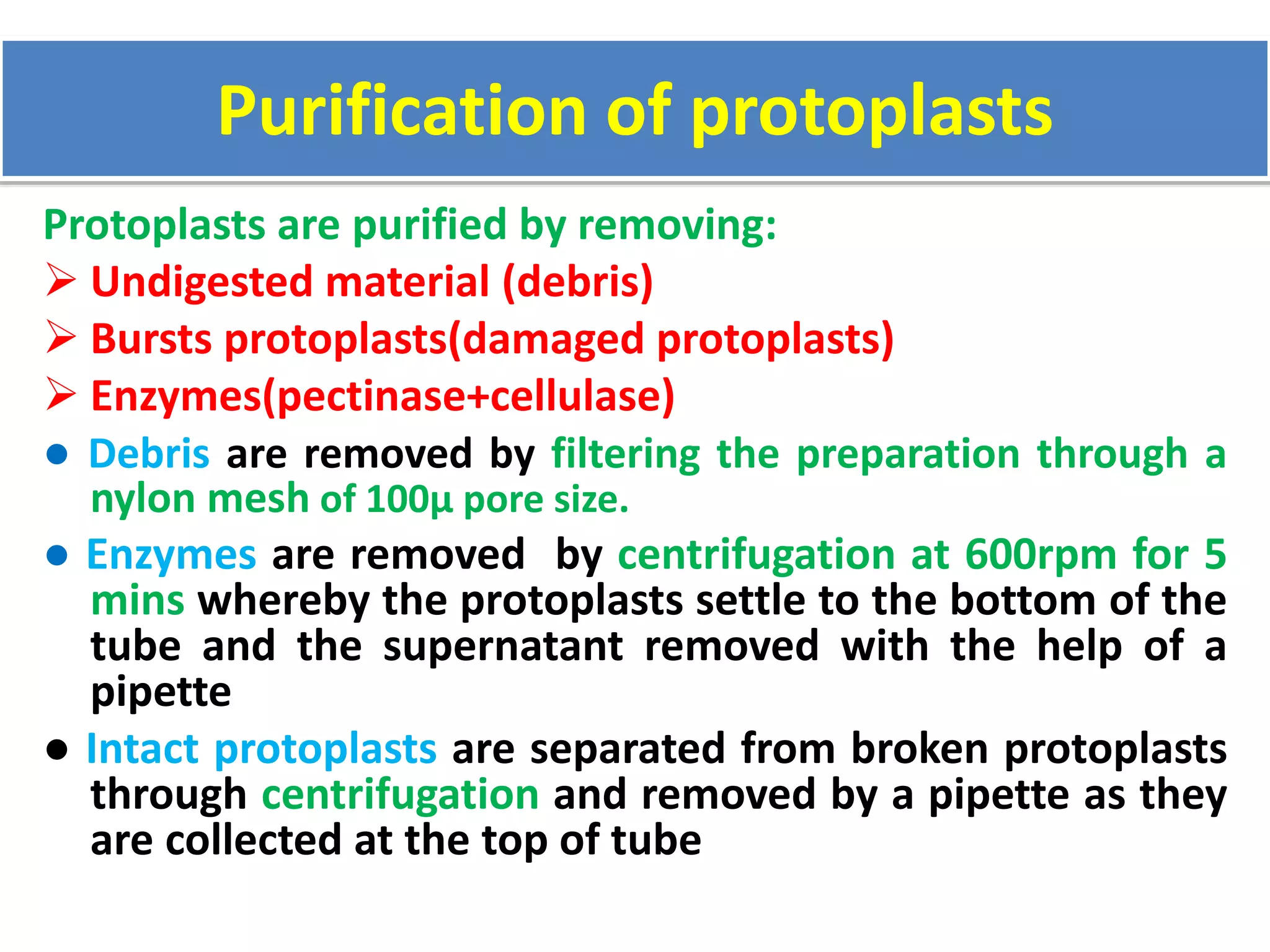 Protoplast culture | PPTX