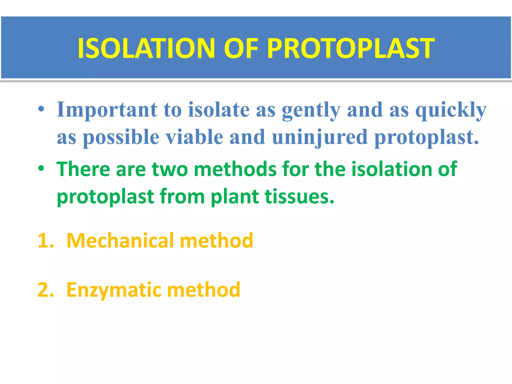 Protoplast culture | PPTX