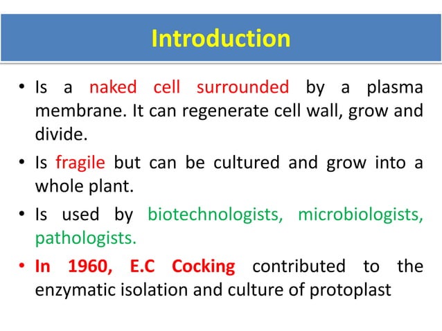 Protoplast culture | PPTX | Biological Sciences | Science