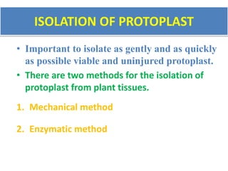 Protoplast culture | PPTX