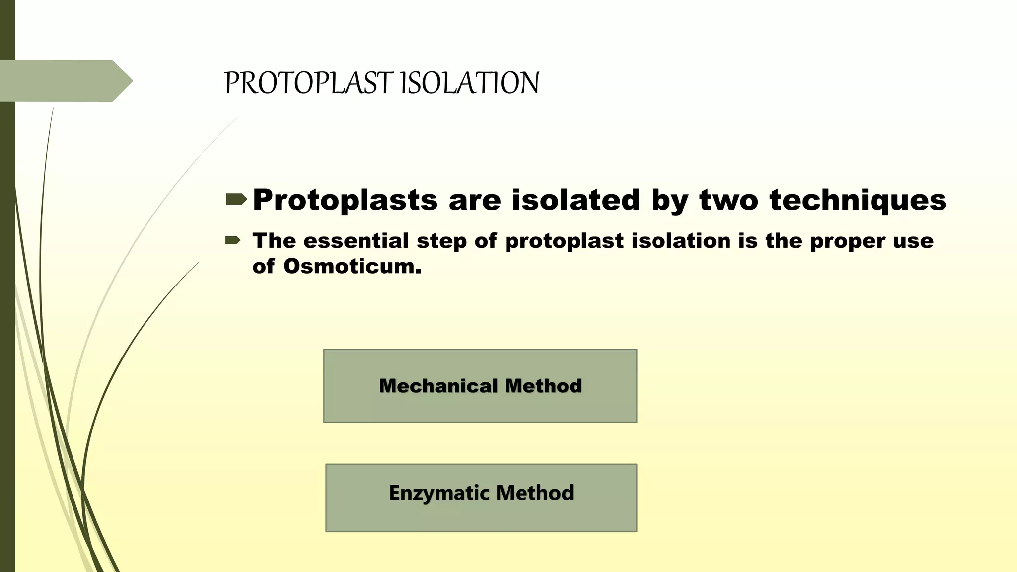 Protoplast culture | PPTX