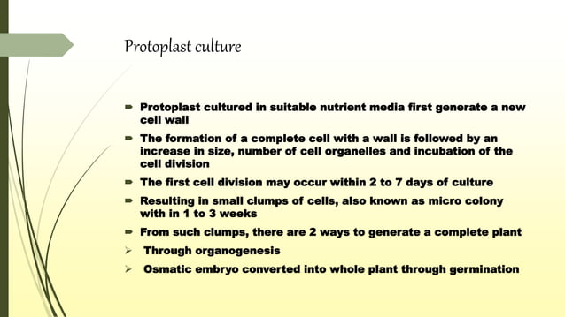 Protoplast culture | PPTX