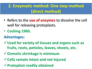 Protoplast Culture | PPTX