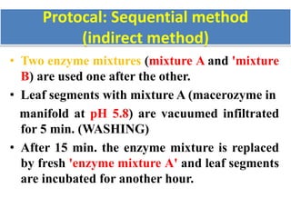 Protoplast Culture | PPTX