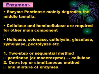 Protoplast culture | PPT