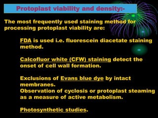 Protoplast culture | PPT