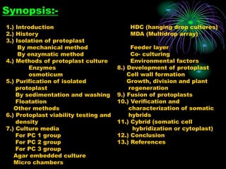Protoplast culture | PPT