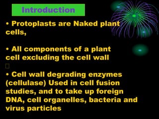 Protoplast culture | PPT