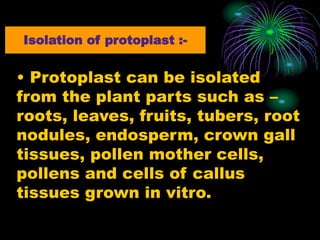 Protoplast culture | PPT