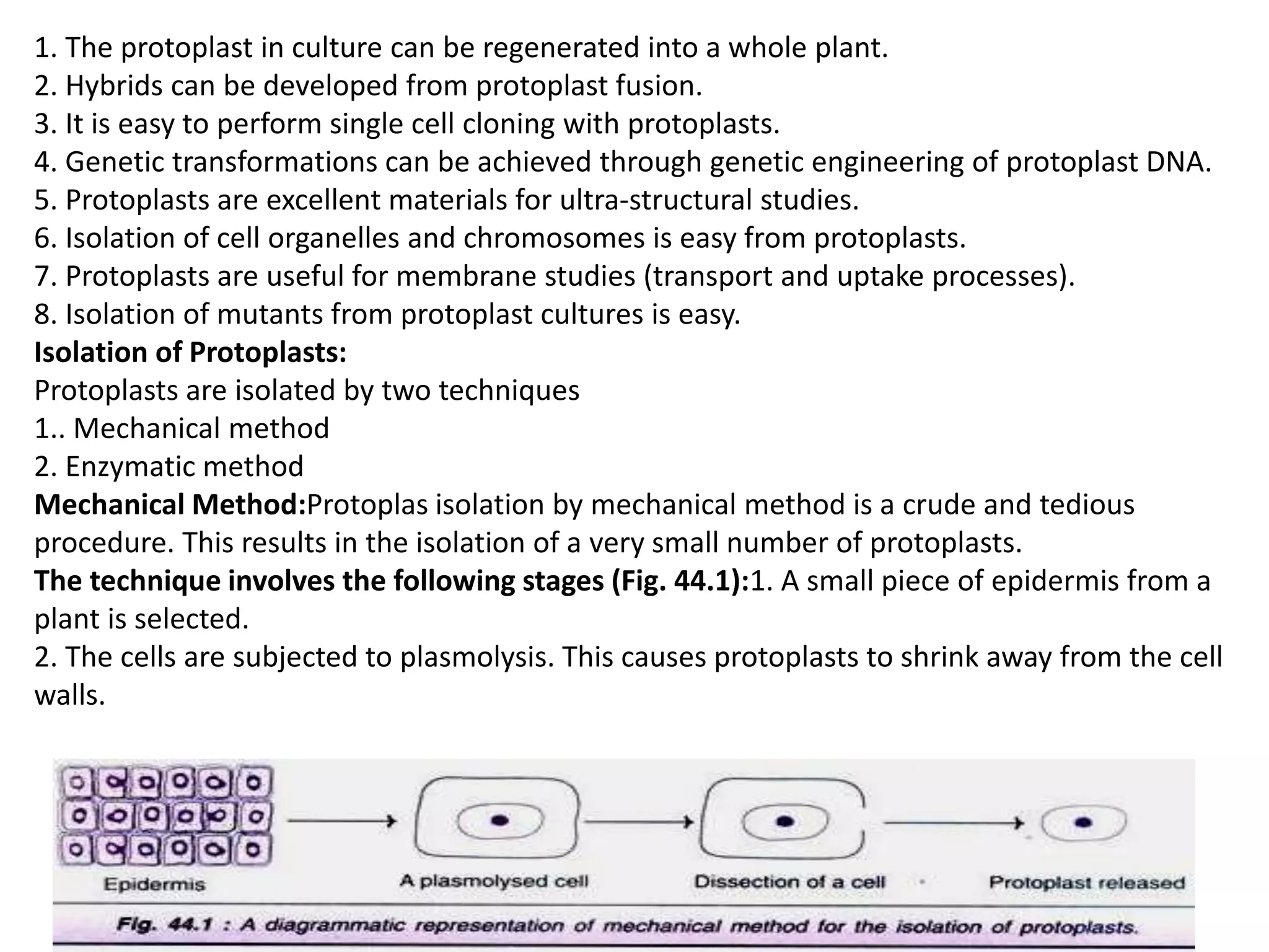 Protoplast culture | PPTX
