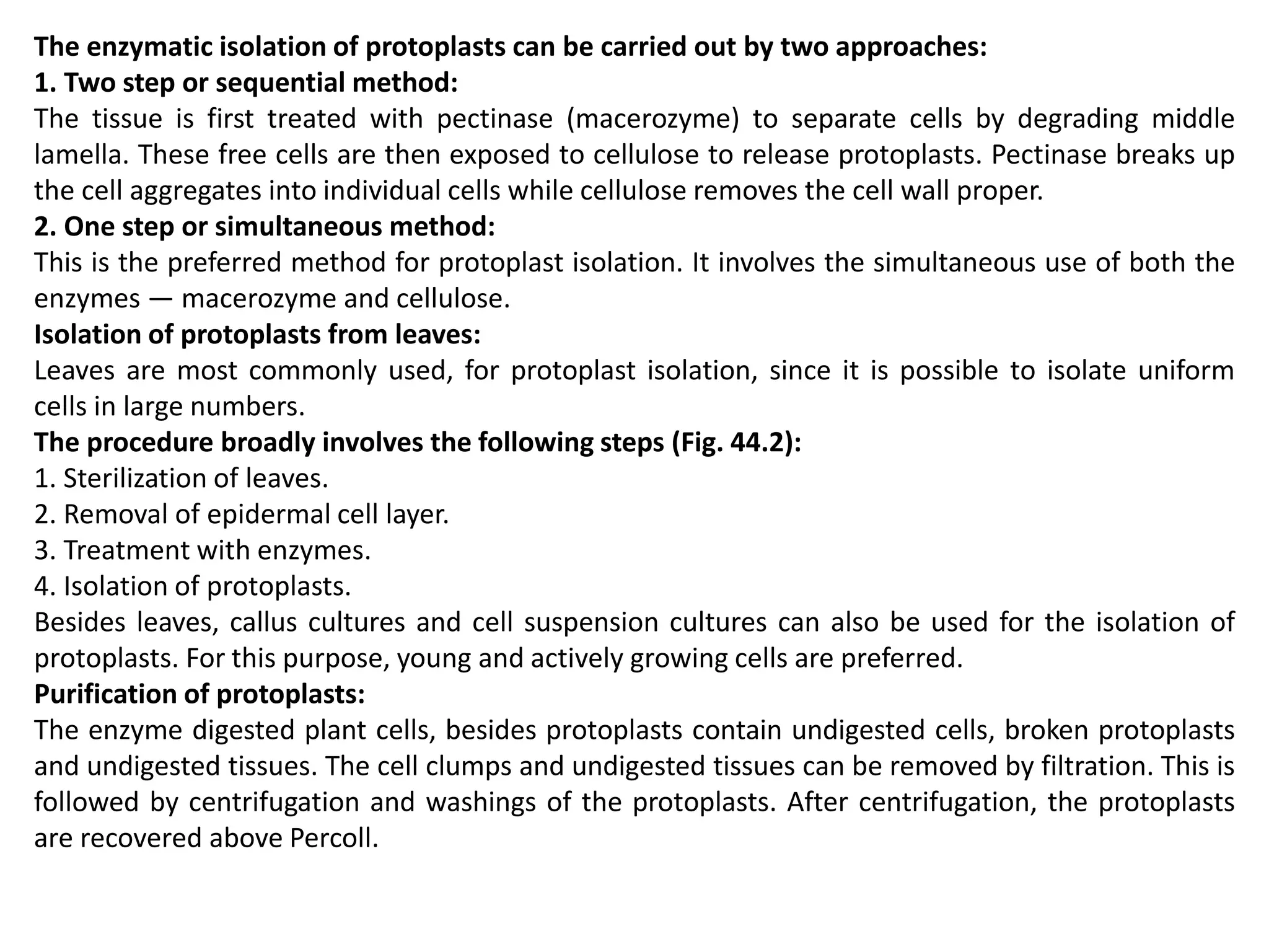 Protoplast culture | PPTX