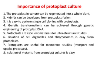 protoplast_culture.pptx