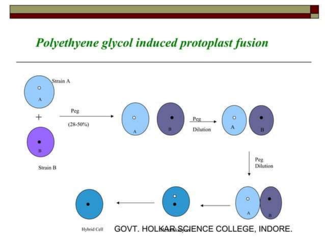 protoplast_culture.pptx