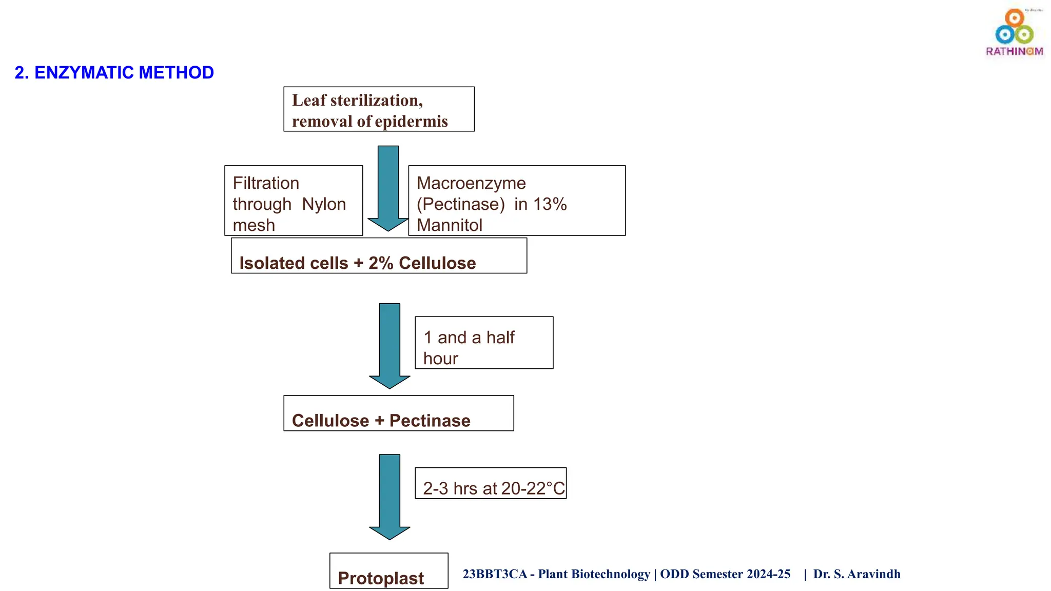 Protoplast culture is a plant cell without cell wall | PPTX
