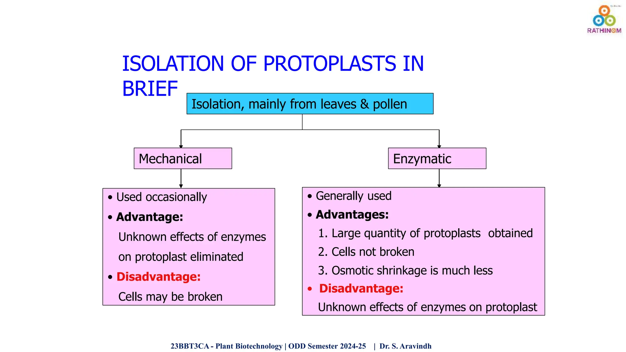 Protoplast culture is a plant cell without cell wall | PPTX