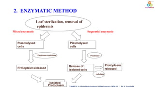Protoplast culture is a plant cell without cell wall | PPTX ...