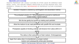 Protoplast culture is a plant cell without cell wall | PPTX ...