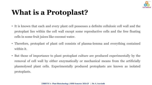 Protoplast culture is a plant cell without cell wall | PPT